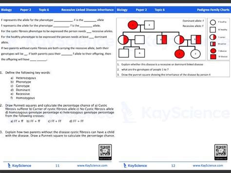 b6 inheritance variation and evolution gcse biology kayscience