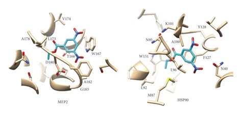 The Predicted Binding Modes Of Compound 2 To The Mep2 Left And Hsp90