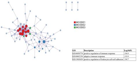 Ijms Free Full Text Bioinformatics Analysis Of Gene Expression