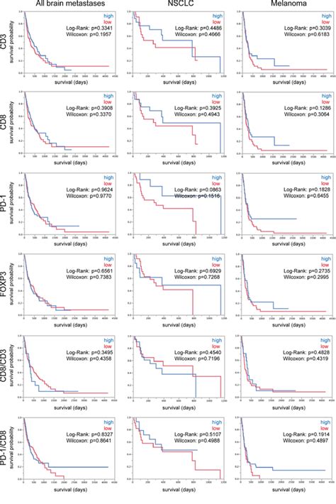 Distribution And Prognostic Relevance Of Tumor Infiltrating Lymphocytes