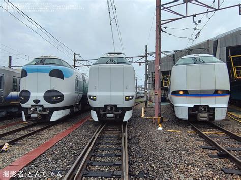 2nd Train 【jr西】683系w32編成がリニューアル＆しらさぎカラーにの写真 Topicphotoid 94538
