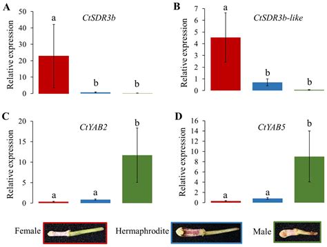Ijms Free Full Text Sex Related Gene Network Revealed By