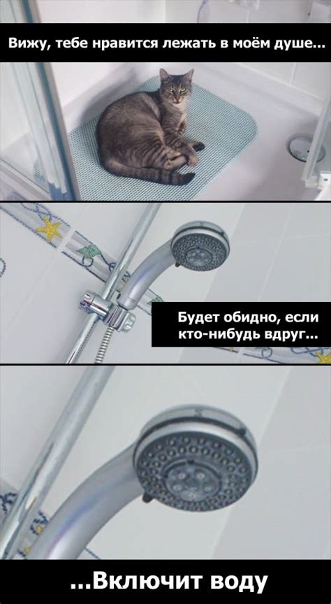 Вижу тебе нравится лежать в моём душе Будет обидно если кто нибудь