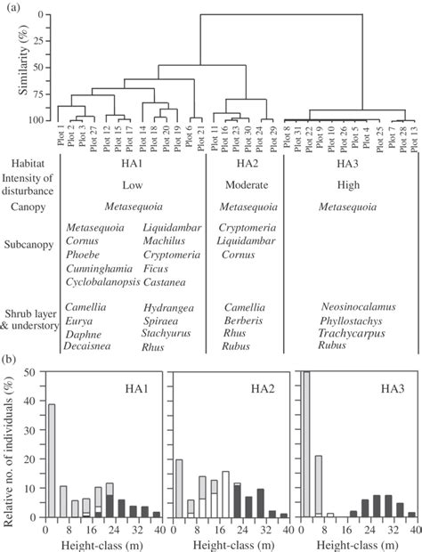 Similarity Dendrogram Using Relative Sherensens Similarity Index And