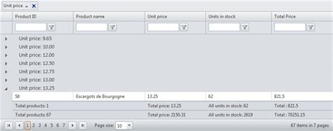 telerik web forms group footers radgrid telerik ui for asp ajax