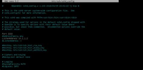 how to remotely manage a linux server with ssh vitux