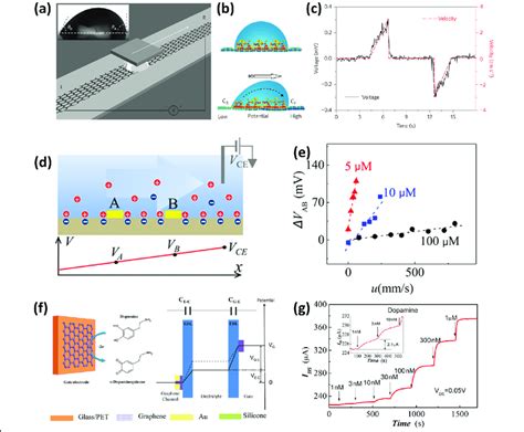 Various Applications Of Electrical Double Layers On Graphene A C