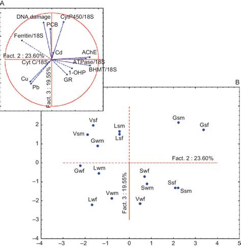 Principal Component Analysis On Factorial Axes 2 And 3 A Projection