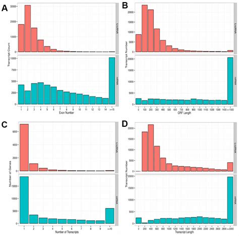 Lncrnas Induce Oxidative Stress And Spermatogenesis By Regulating