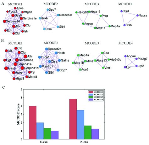 Protein Protein Interaction Analysis Of The Identified Proteins In
