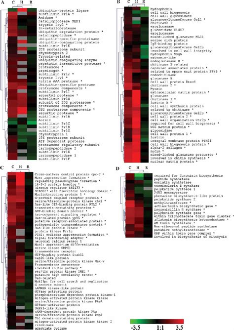 The Detailed Gene Expression Patterns Of The Selected Functional Groups