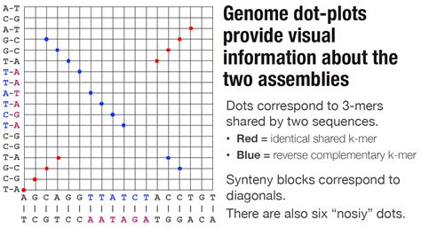 10 Genome Assembly Bch709 Introduction To Bioinformatics