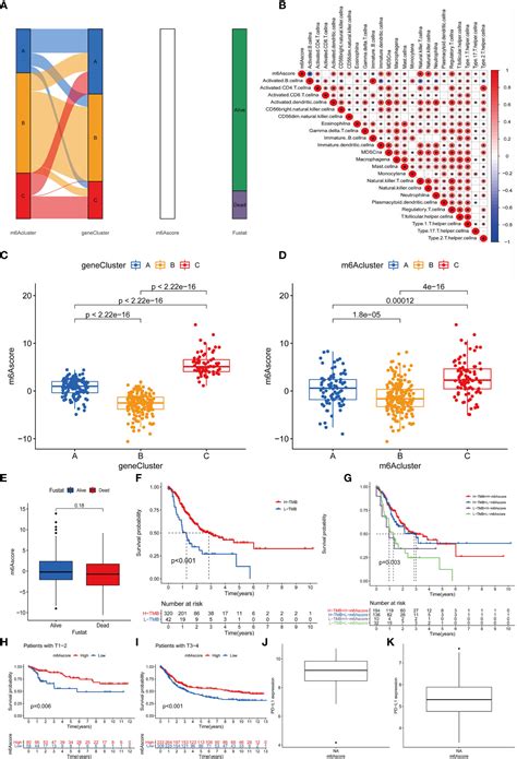 Frontiers M6a Regulator Based Methylation Modification Patterns