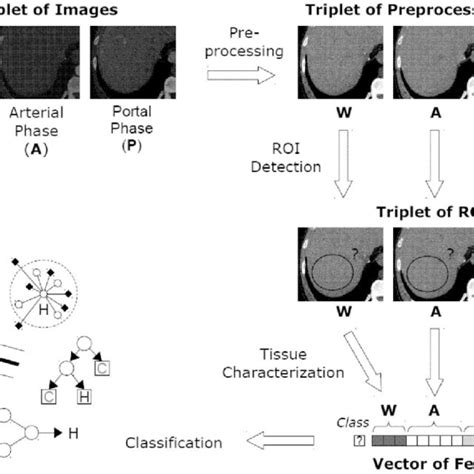 The System For Texture Based Classification Of Liver Tissues Second
