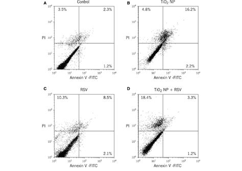 Altered Cell Death Patterns In Tio 2 Np Pretreated Bronchial Epithelial