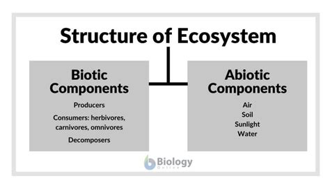 Ecosystem Definition Structure Factors Types Function