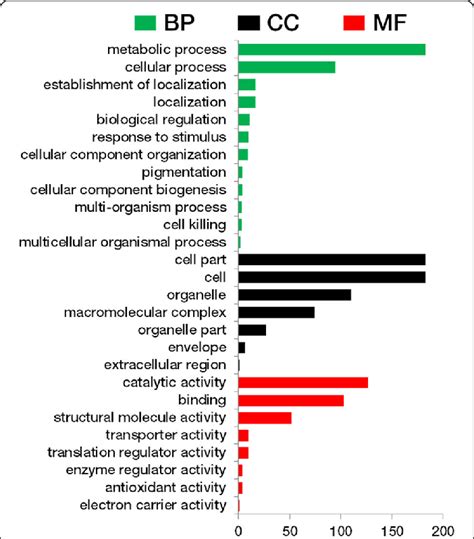 Gene Ontology Classifications Of Differentially Expressed Genes Degs