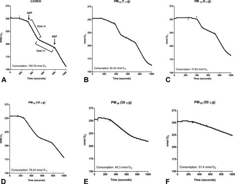 —representative Graph Of The Particulate Matter Pm 10 Effect On