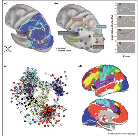 Figure 1 From Network Attributes For Segregation And Integration In The