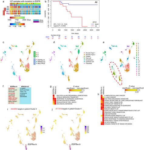 Scrna Seq Identifies Cancer Cell Populations And Potential Drug