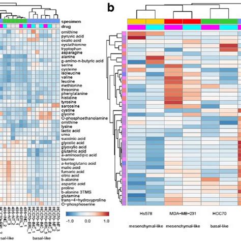 Metabolomics Profiling Of Tnbc Cell Lines Hierarchical Clustering Of