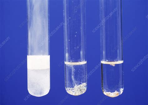 metals reacting in acid stock image a500 0318 science photo library