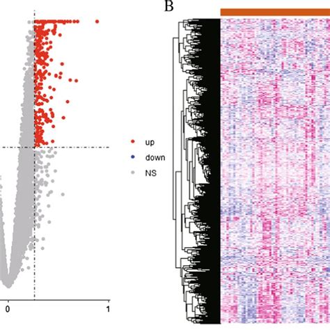Differential Gene Expression Analysis A Differential Gene Volcano Map