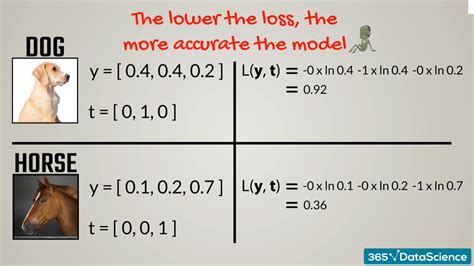 what is cross entropy loss 365 data science