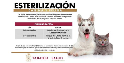 Aviso De La Unidad Móvil De Esterilización Canina Y Felina Portal Tabasco