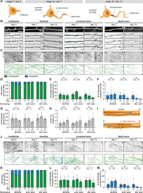 Figures And Data In Quantitative Mapping Of Transcriptome And Proteome