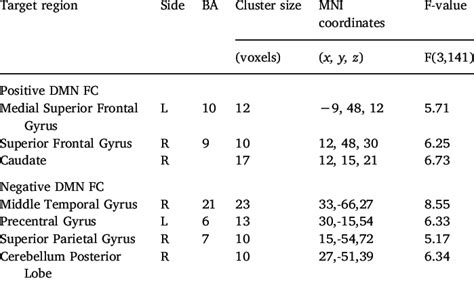 Altered Spatial Patterns Of Positive And Negative Dmn Functional