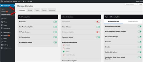 How To Safely Disable Automatic Updates In Wordpress