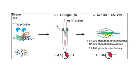 Tio2 With Tandem Fractionation Taft An Approach For Rapid Deep