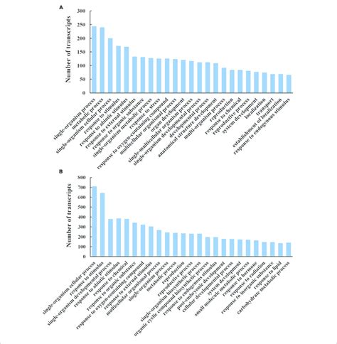 Gene Ontology Functional Classification Analysis Of Differentially