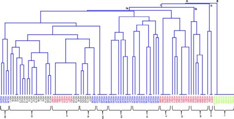 Dendrogram Generated Using Jaccards Coefficient And Upgma Cluster