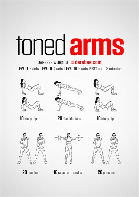 Toned Female Arms Exercises Off 53