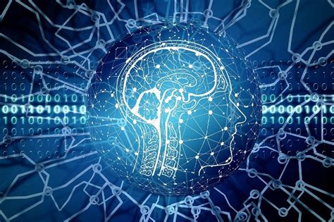 El Nuevo Método Permite Obtener Imágenes A Largo Plazo De La Actividad