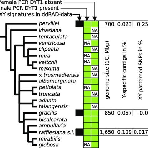 Evidence For Male Specific Loci And Xy Sex Determination Systems In