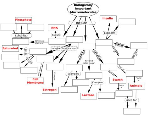 Biological Macromolecules