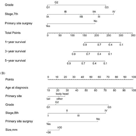 Nomograms For Predicting The 1 3 And 5 Year Os Of Nf Pnet Patients A