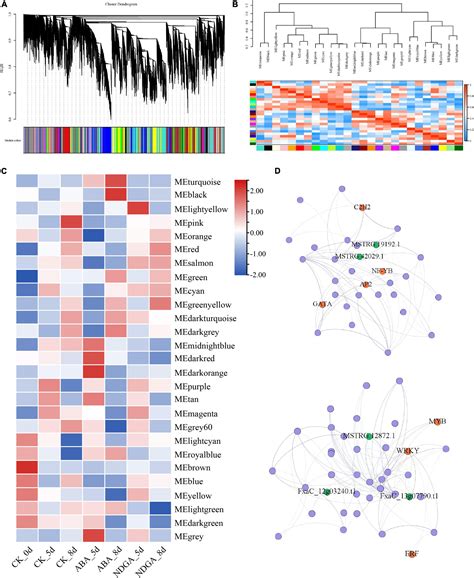 Frontiers Transcriptome Profiling Of Transposon Derived Long Non