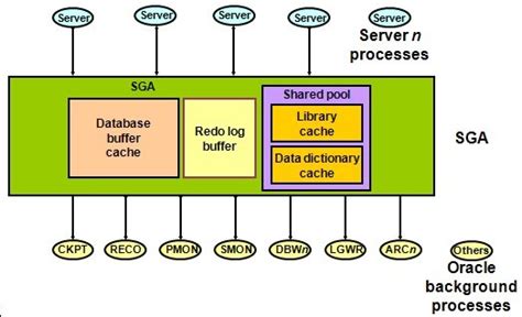 oracle database process structure