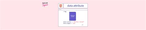 what is data attribute in html scaler topics