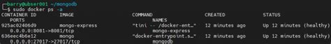 how to run mongodb as a docker container bmc blogs