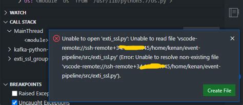 unable to read file error debugging python file in docker in remote