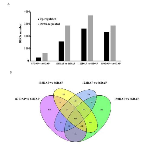Statistical Analysis Of Differentially Expressed Unigenes Degs During