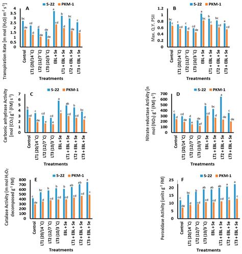 Plants Free Full Text Exploring The Effects Of Selenium And