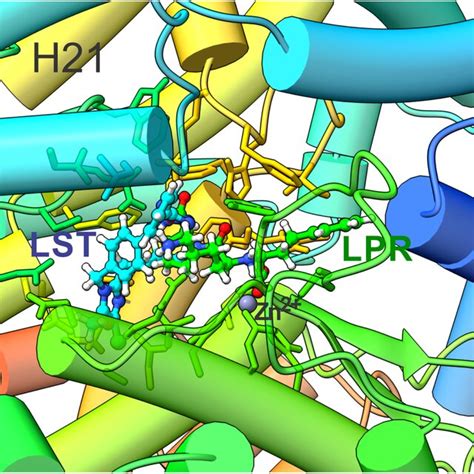 Cartoon Representation Of The Structural Superimposition Of The Binding