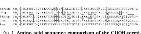 Figure 1 From The Proximal Portion Of The Cooh Terminus Of The Oxytocin