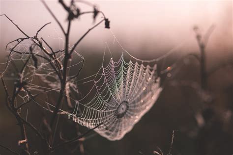 building neural networks from scratch in 9 steps by eden